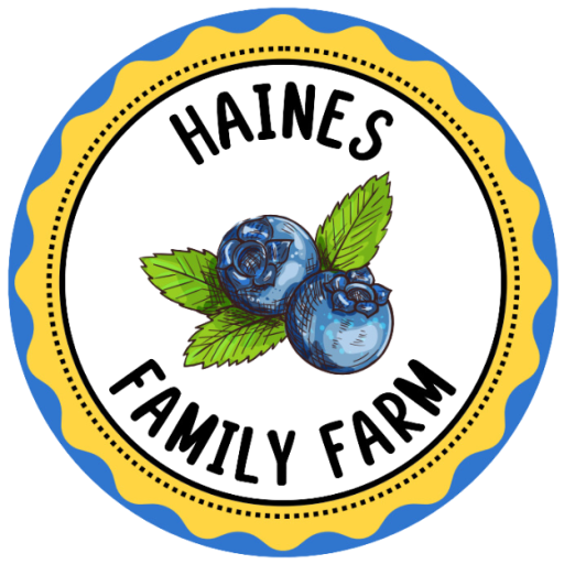 Haines Family Farm – Blueberry PIcking Farm